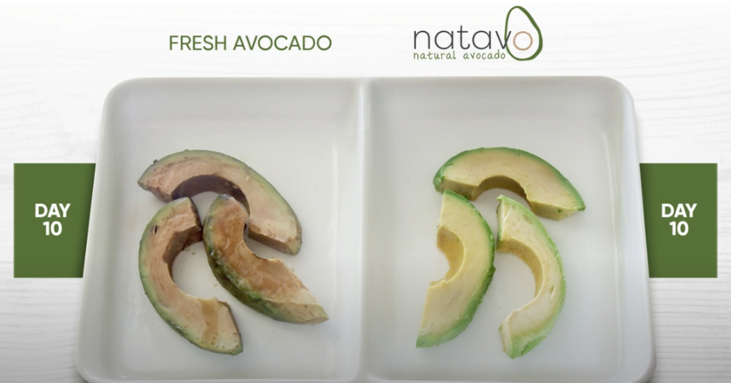 Natavo Avocado Menu Ideas